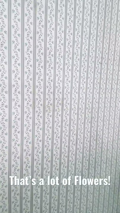 Counting Flowers On The Wall #music #countrymusic - YouTube