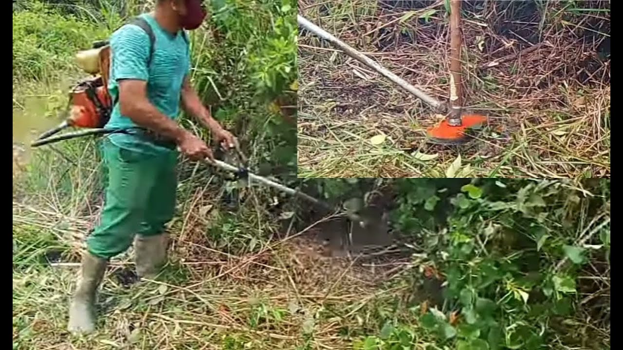 memotong rumput jalan menuju kebun sawit - YouTube