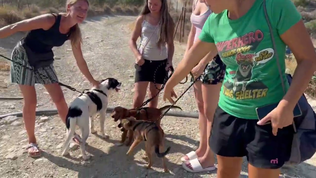 A lovely family came from Germany to adopt 1 dog and they ended up ...