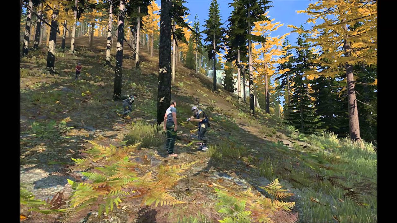 DayZ: Ran into Ceremor - YouTube