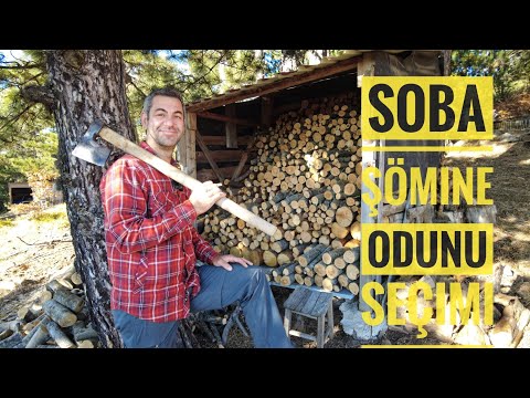 Soba ve Şömine için Doğru Odun Seçimi Nasıl Olmalı? Meşe, Gürgen ve Çam Ağacı Farkları