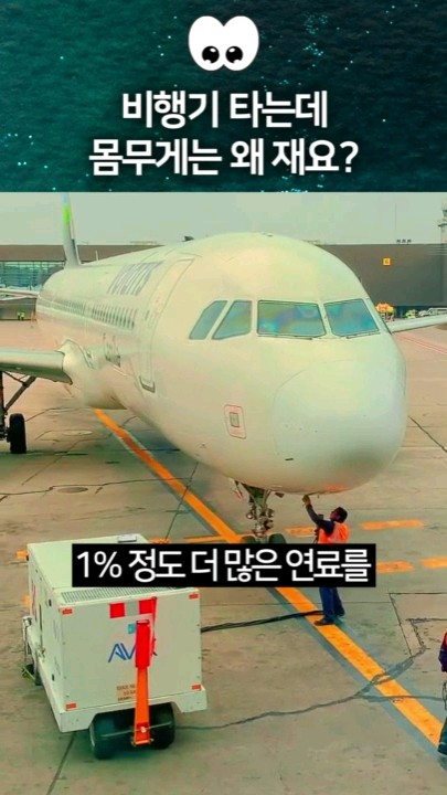 비행기 타는데 몸무게는 왜 재요 Youtube