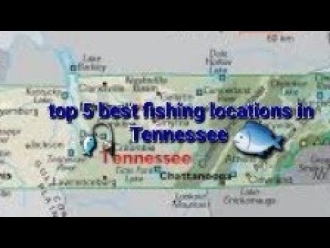 top 5 best fishing locations in Tennessee - YouTube