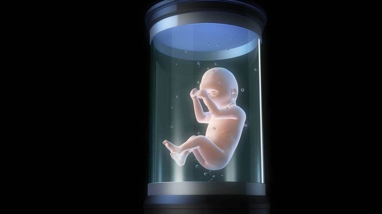 The matrix has arrived China 🇨🇳 now growing humans in fake wombs with ...