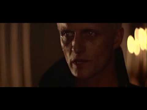 Roy y Tyrell - YouTube
