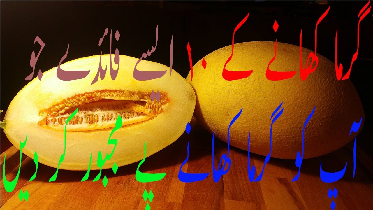 Top 10 Health Benefits Of Cantaloupe In Urdu Hindi YouTube top-10-health-benefits-of-cantaloupe-in-urdu-hindi-youtube
