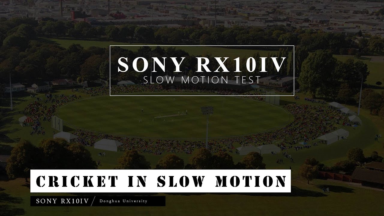 Cricket in slow motion (Sony RX10IV | Capture Inspiration) - YouTube