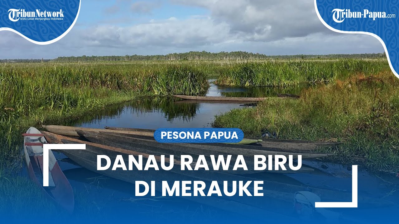 Mengunjungi Indahnya Danau Rawa Biru di Merauke Papua, Masuk dalam ...