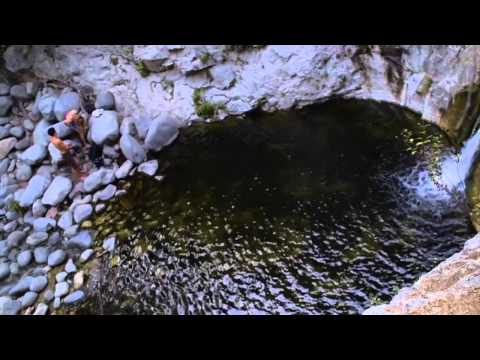 Expressway To Your Skull Official Trailer (2014) - Paul S. Tracey, Lindsay Atwood HD