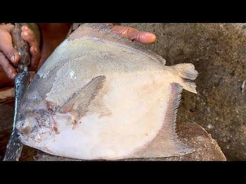 Amazing Big White Pomfret Fish Cutting Skills In Bangladesh Fish Market ...