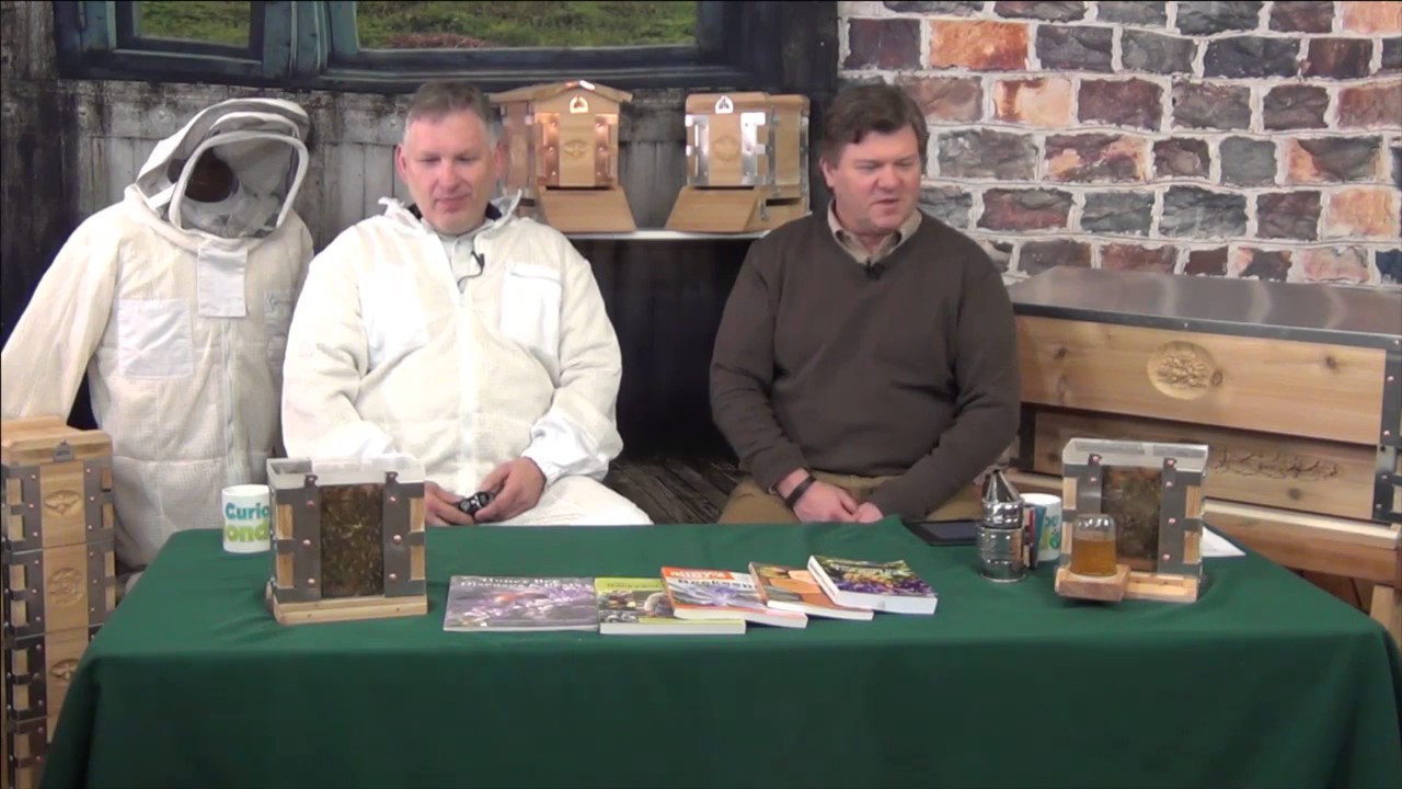 Basics of Beekeeping- Tip Top Tips - YouTube