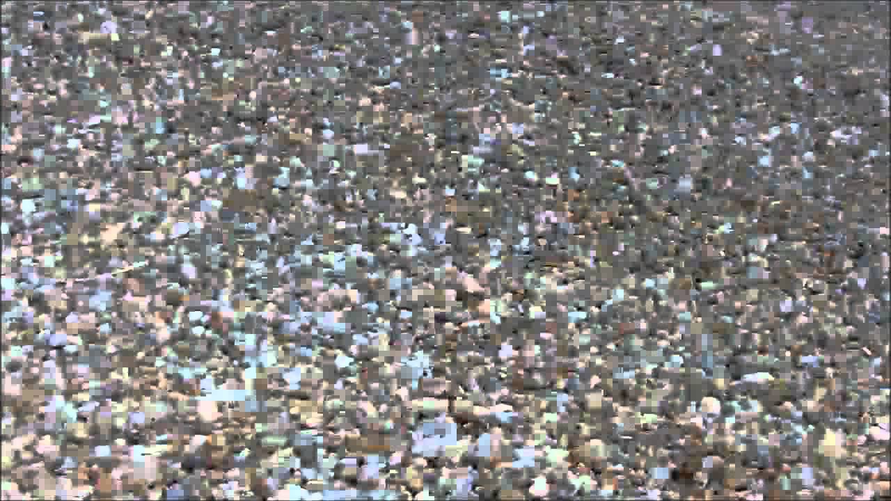 Maggie At The Beach (Seeing the sea for the first time!) - YouTube