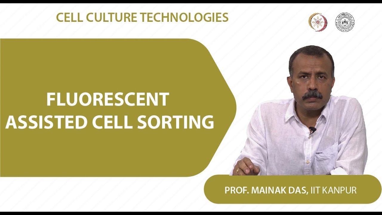 Fluorescent assisted cell sorting - YouTube
