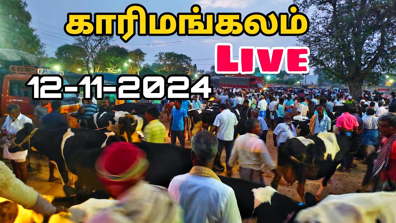 Live Karimangalam Cow market Dharmapuri district TN24 sakthi vlogs ...