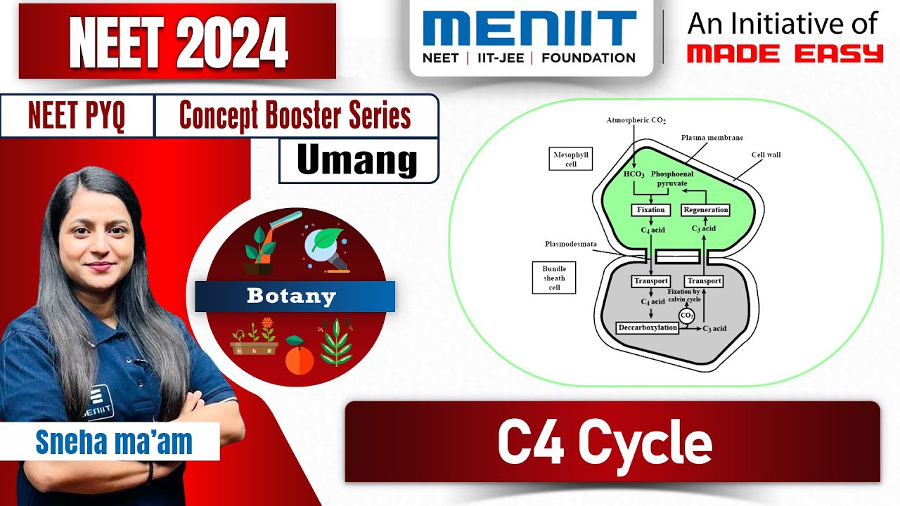 Photosynthesis | C4 Cycle | NEET | Concept Booster Series | By Sneha ...