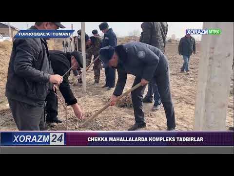 CHEKKA MAHALLALARDA KOMPLEKS TADBIRLAR 12.12.2024 #xorazmtv #rek #uznews - YouTube