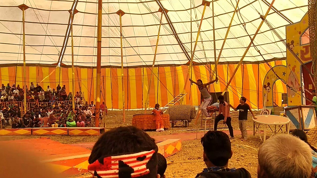 Super circus - YouTube