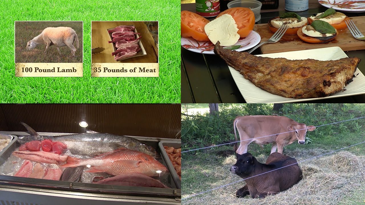 Grilled Amberjack, "Beefing Up" the Cows and Sheep and The Seafood ...