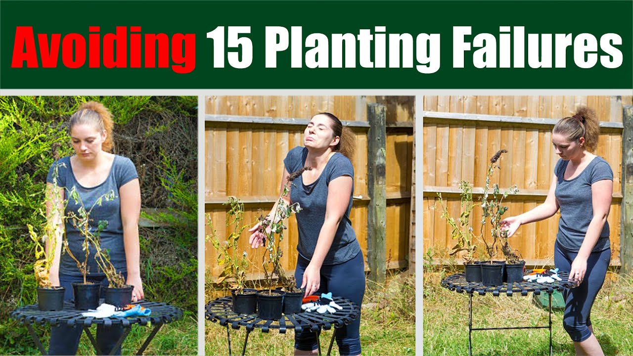 Avoiding 15 Common Planting Failures in Your Small Tropical Garden ...