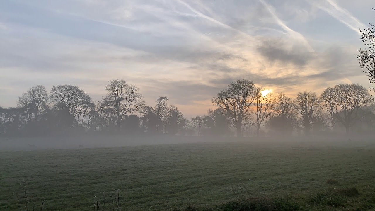 Early morning mist in County Meath, Ireland - YouTube