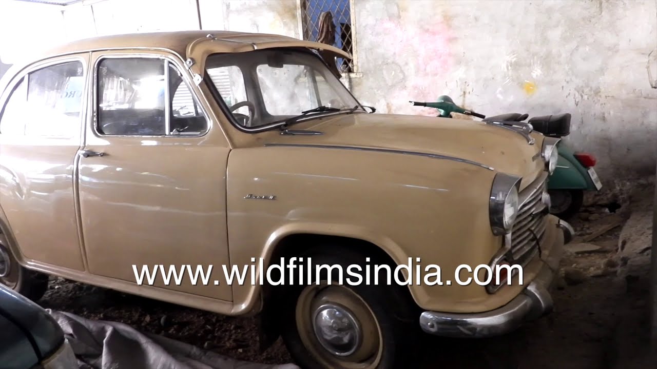 Ambassador cars, Fiat Padmini, Maruti 800, Jeeps and new cars at ...