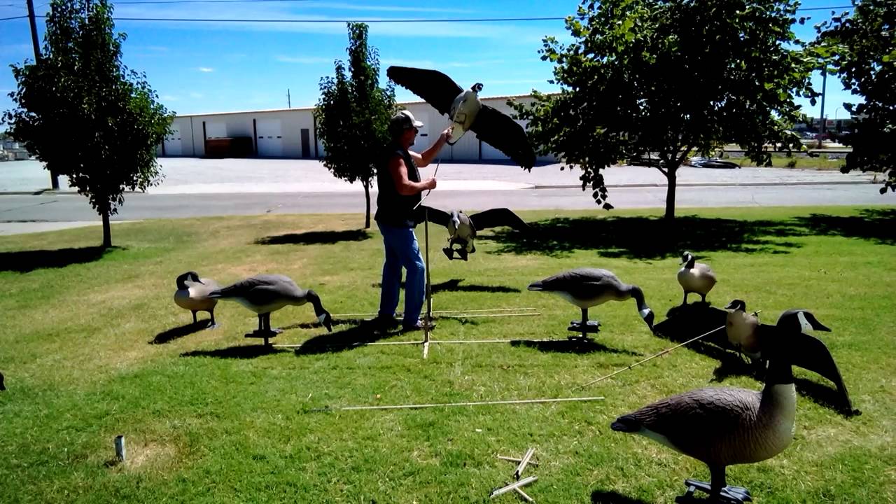Big Wings goose decoy - stand tear down - YouTube