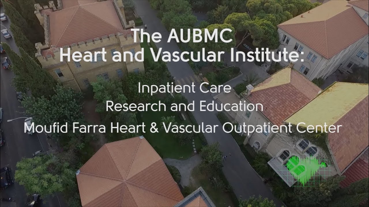 The Heart and Vascular Institute at AUBMC - YouTube