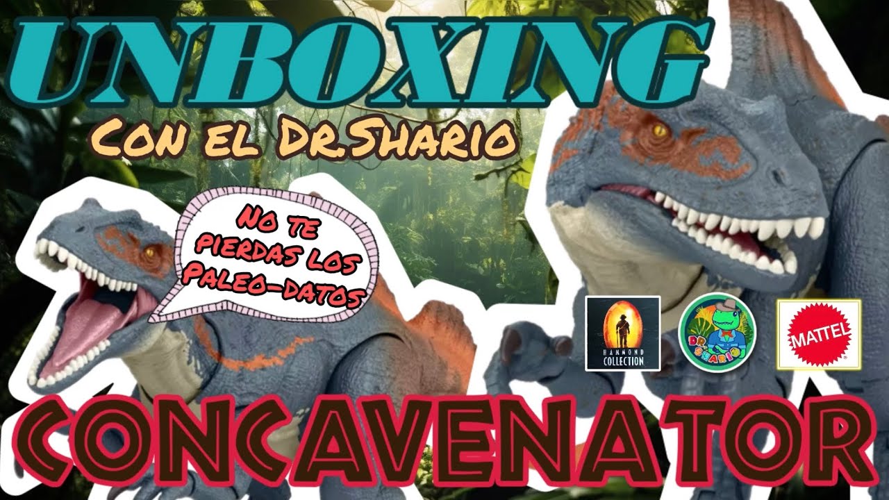 CONCAVENATOR | HAMMOND COLLECTION - YouTube