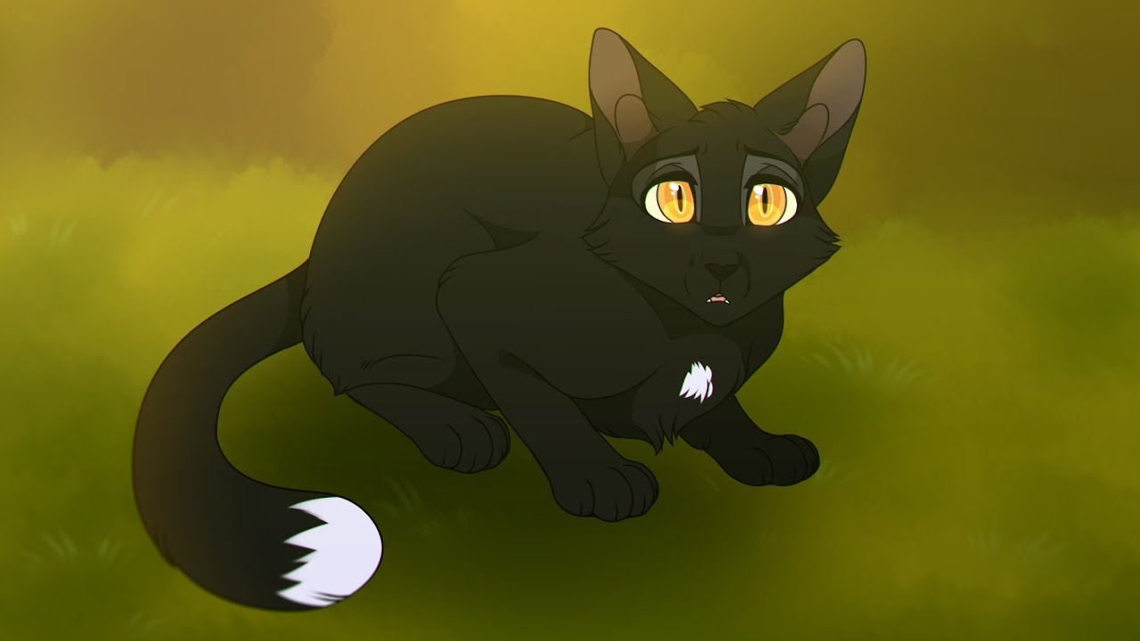 Ravenpaw - Shut eye - warriors cats - YouTube