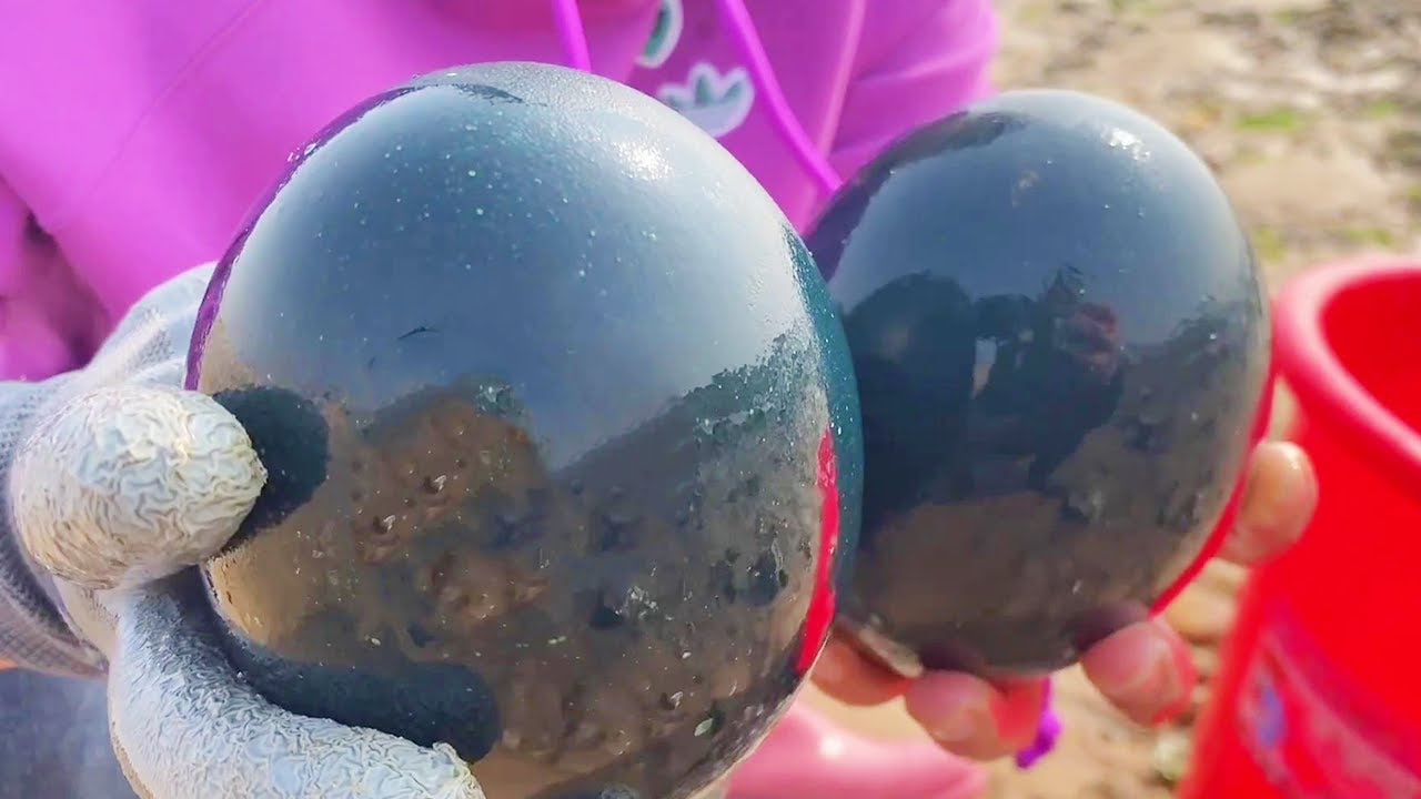 Big Black Egg & Big Black Egg by the Sea! Octopus is in stock one after ...