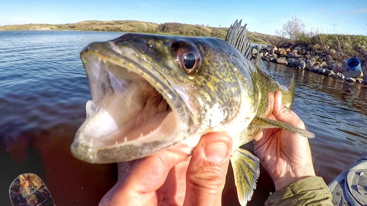 Spring Fishing - You Never Know What You Might Catch! - YouTube