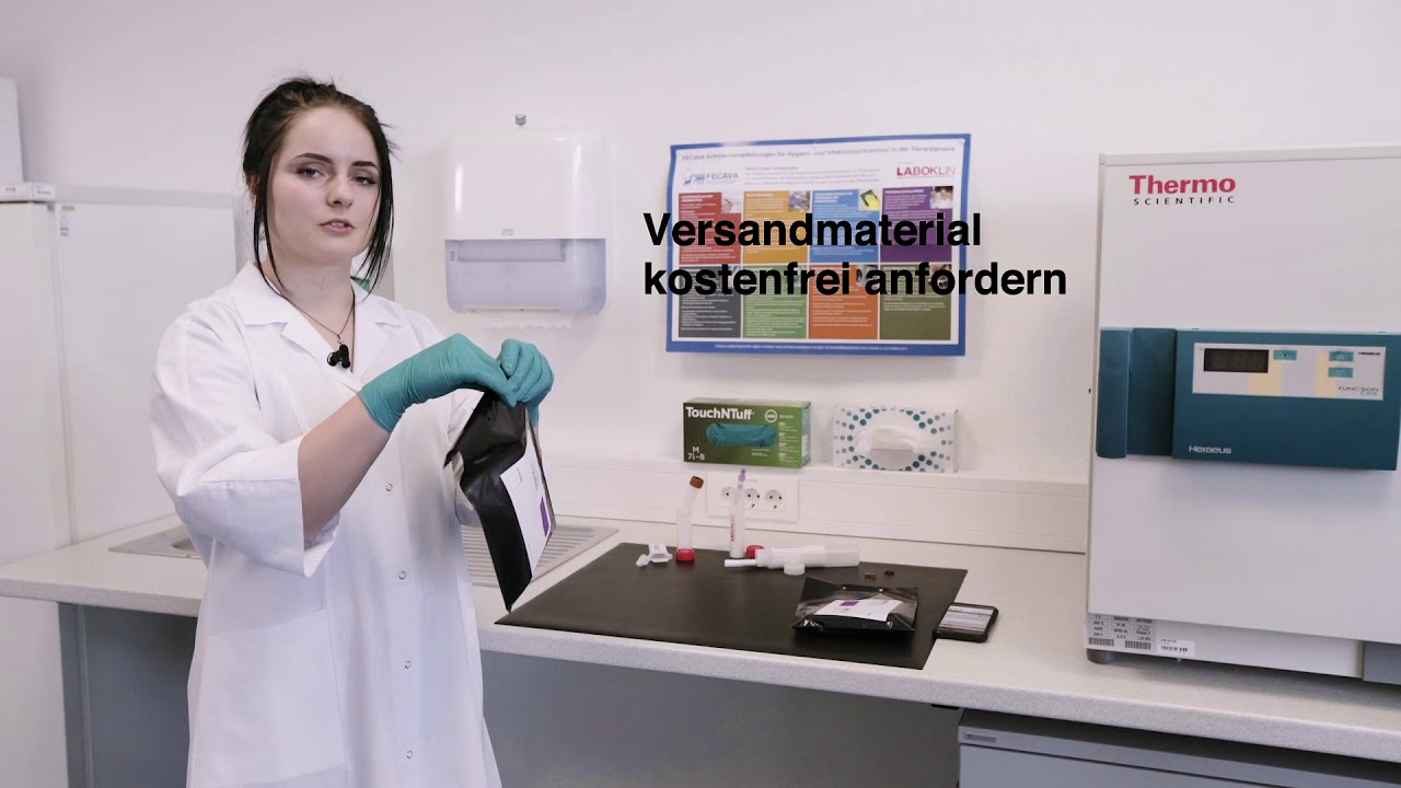 Laboklin Tutorial Versand - YouTube