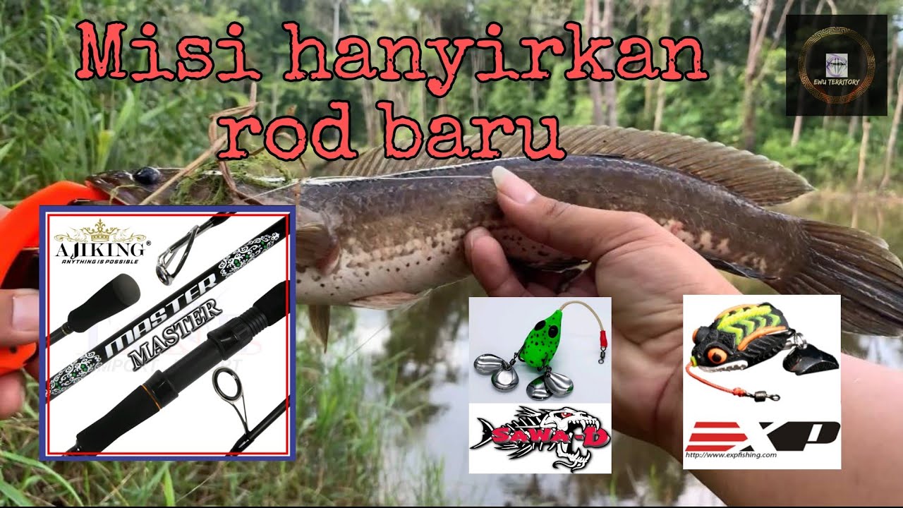 EP.07 || Field Test Rod AJIKING MASTER || Casting Haruan/Gabus || EXP ...