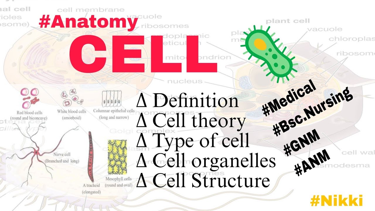 CELL || Definition of cell || Cell theory || Type of cell || Structure ...