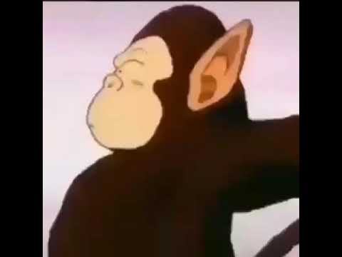 OLHA O MACACO - SHITPOST - YouTube