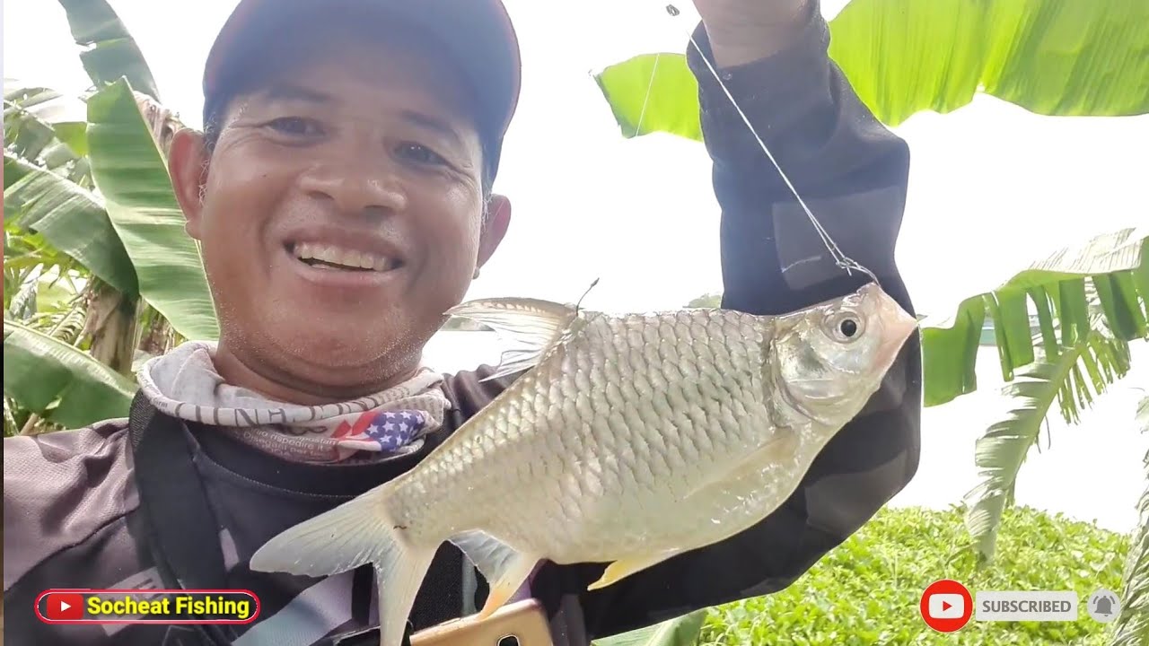 ស្ទូចឆ្ពិនទន្លេនុយនំបុ័ង - Amazing hook fishing - Best hook fishing ...