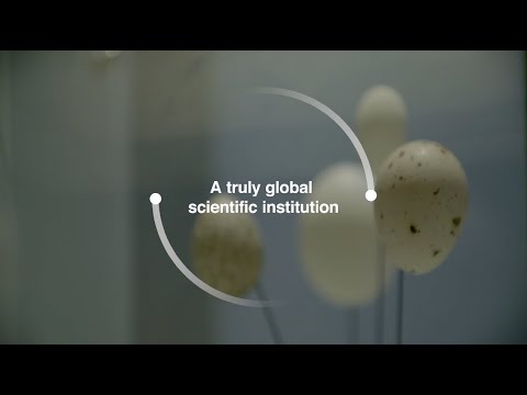 The International Science Council: the global voice for science - YouTube