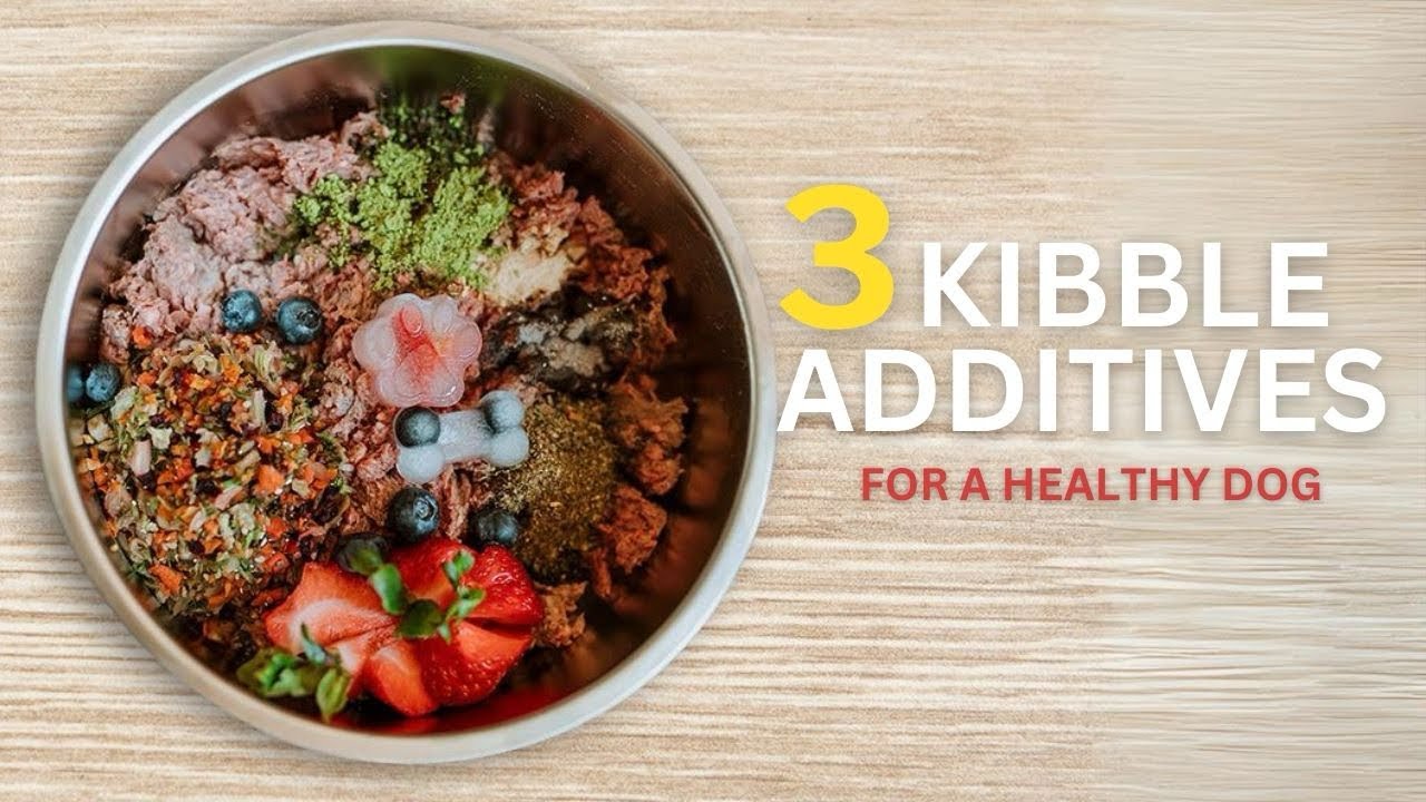 3 Foods To Add To Your Dog's Boring Kibble - YouTube