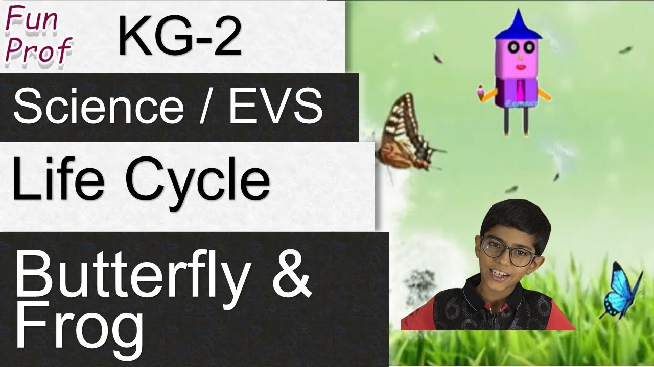 Life Cycle of Butterfly & Frog - Kindergarten (KG-2/K-2) - Kids ...