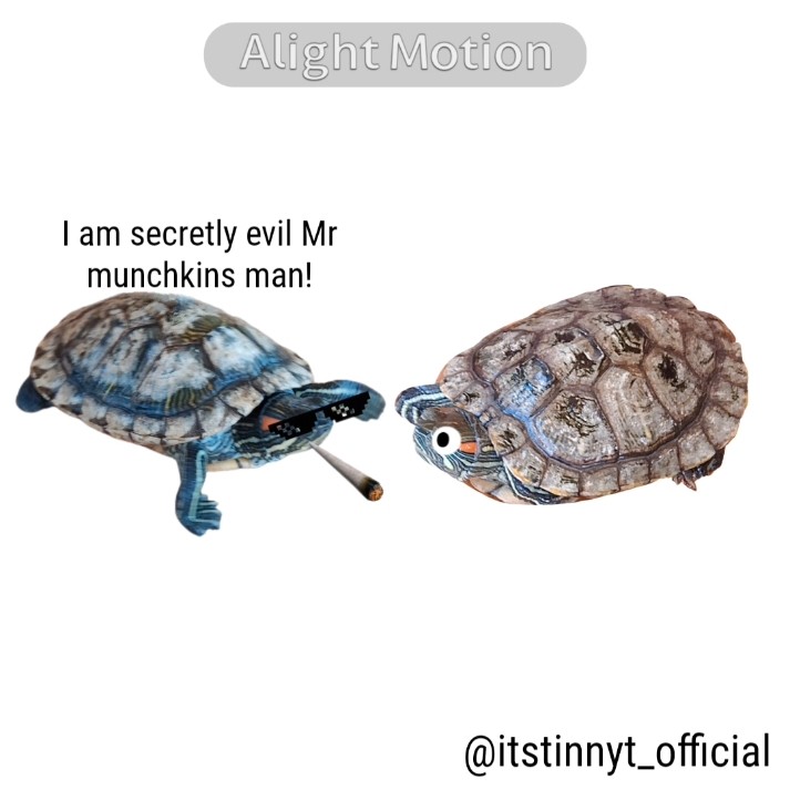 I'm secretly evil Mr munchkins man! @_Yunglimabean #shorts #memes # ...