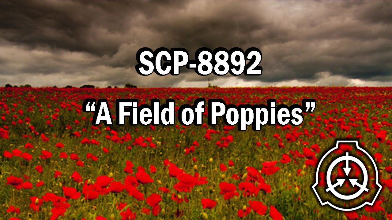 SCP-8892 "A Field of Poppies" Euclid [SCP Document Reading] - YouTube