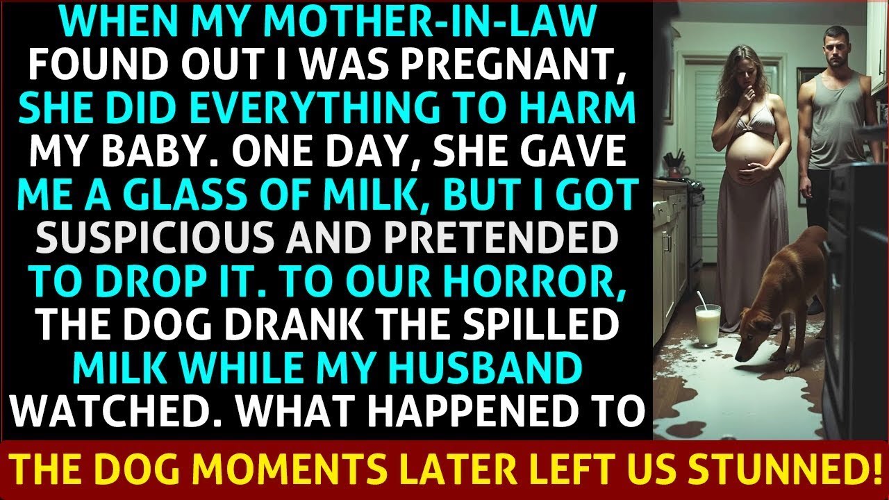 My MIL Gave Me Suspicious Milk, I Pretended to Spill It—The Dog Drank ...