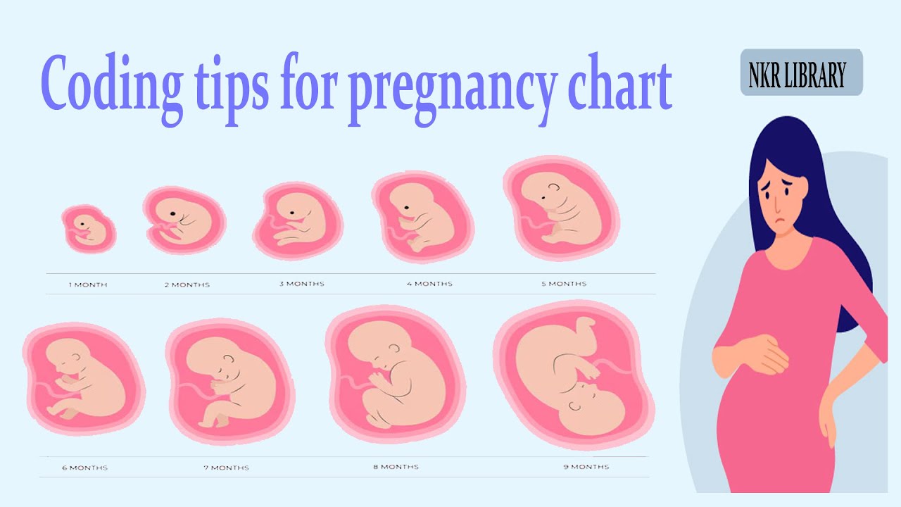 Coding tips for pregnancy chart in telugu | latest video 2025 - YouTube