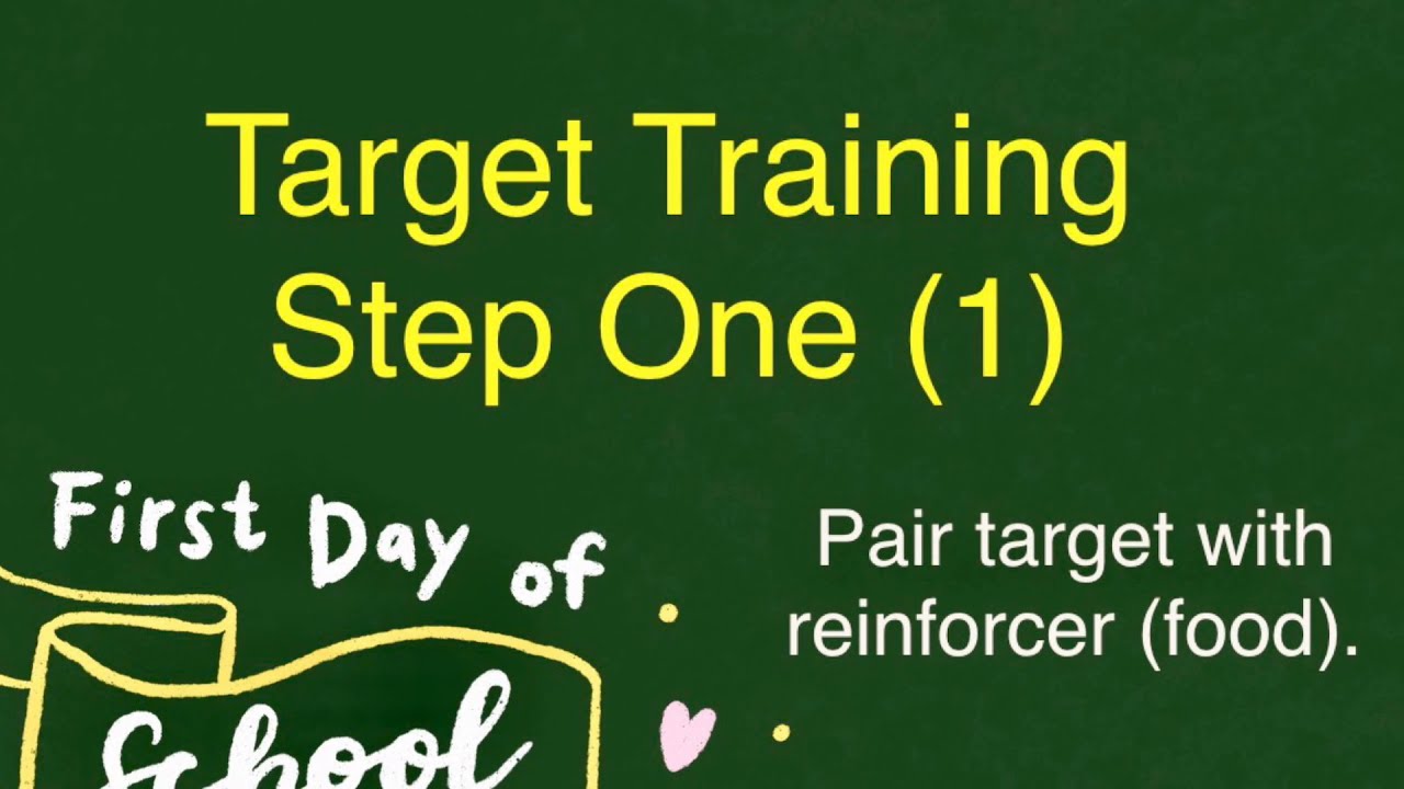 Very First Step in Target Training - YouTube