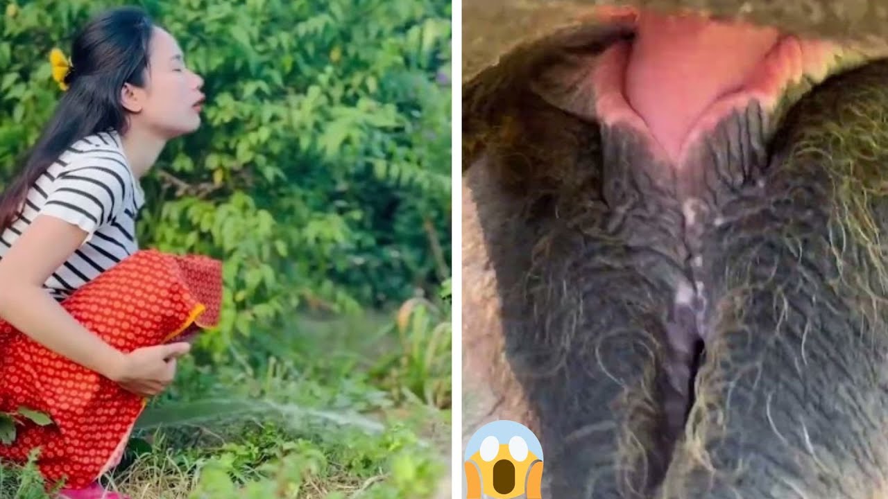 Scare Cam Pranks 2024 | #27 Funny Scare Prank | Jump Scare | Funny Compilation - YouTube