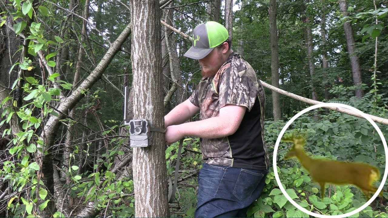 Introducing Head Outdoors | BIG PA BUCKS ON CAMERA!? - YouTube