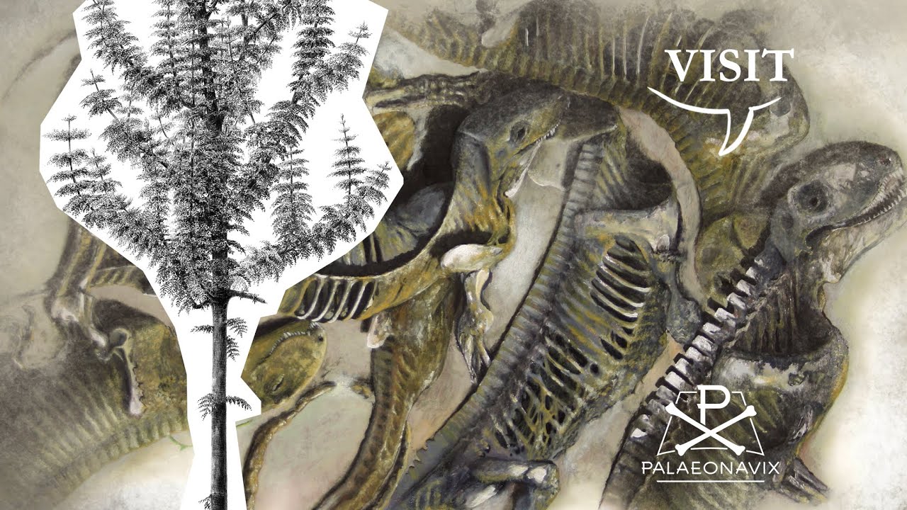 Perm+ in Freiberg & Chemnitz - YouTube