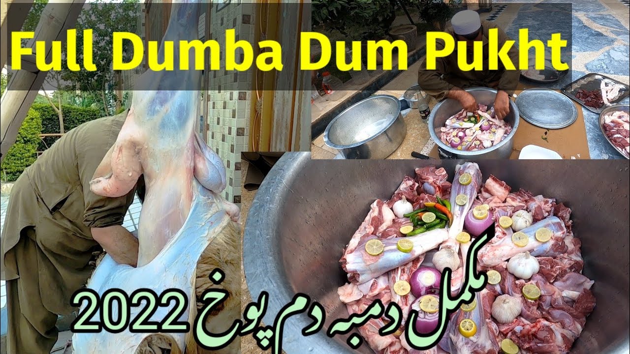 Full Dumba Dum Pukht Shinwari Style | Full Sheep Dum Pukht | Dum Pukht ...