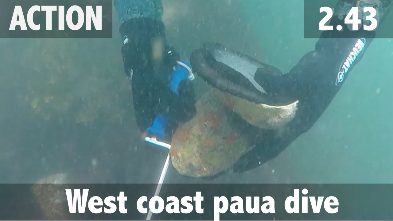West Coast Paua dive - YouTube