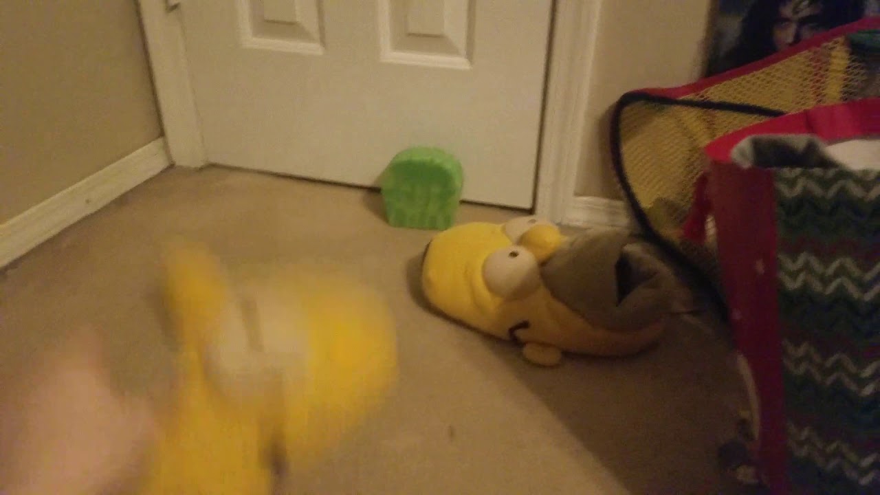 I throw to Comedy slippers at a sponge - YouTube